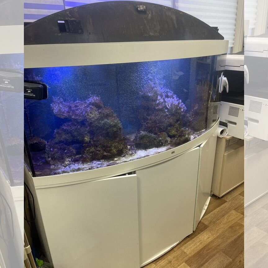 Морские рыбки с аквариумом