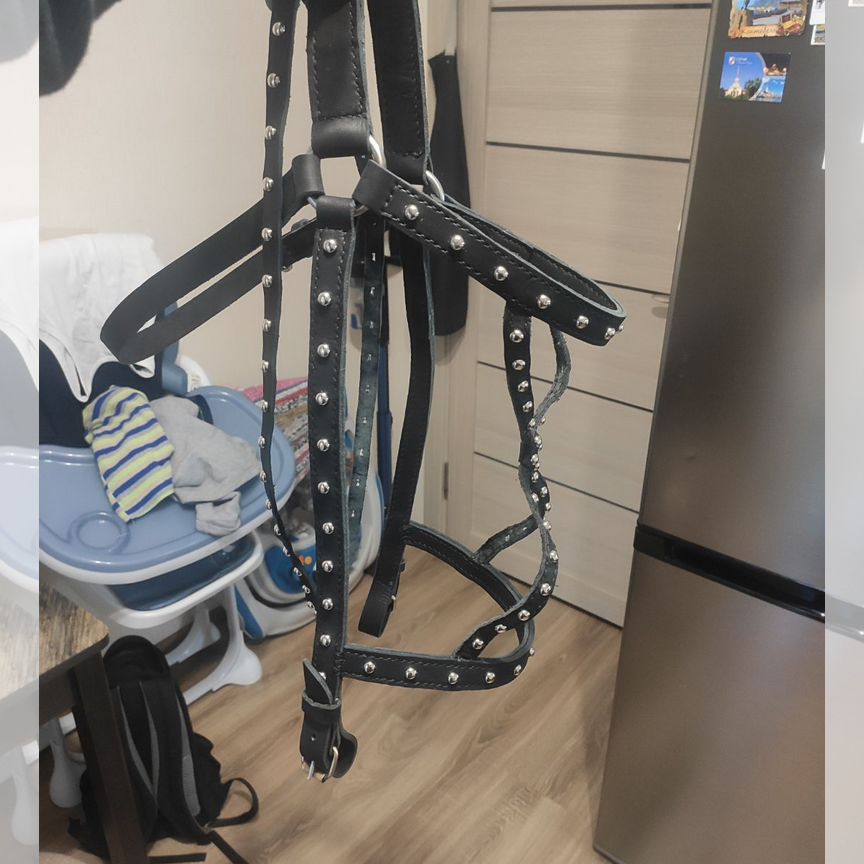 Оголовье для лошади