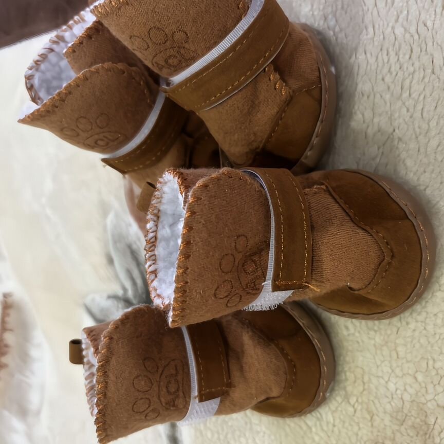 Обувь для собак мелких пород