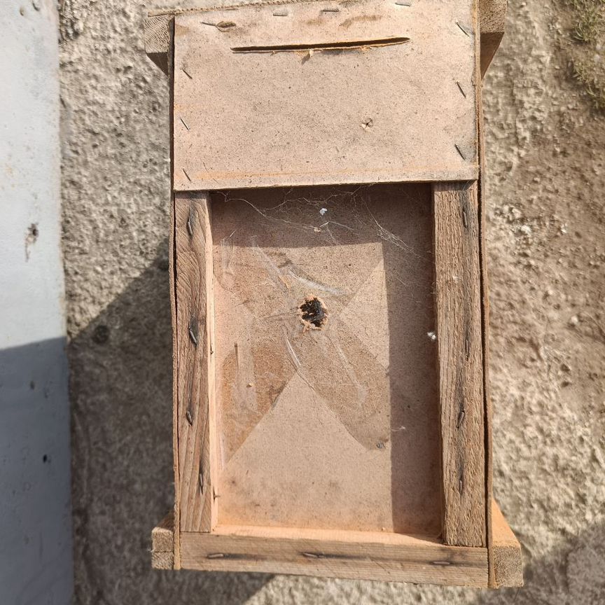 Ящик для перевозки пчёл