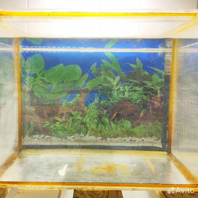Аквариум из оргстекла