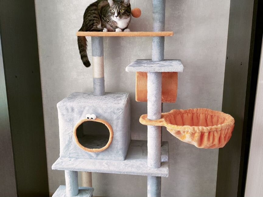 Домик лежанка для кошки лазалка когтеточка