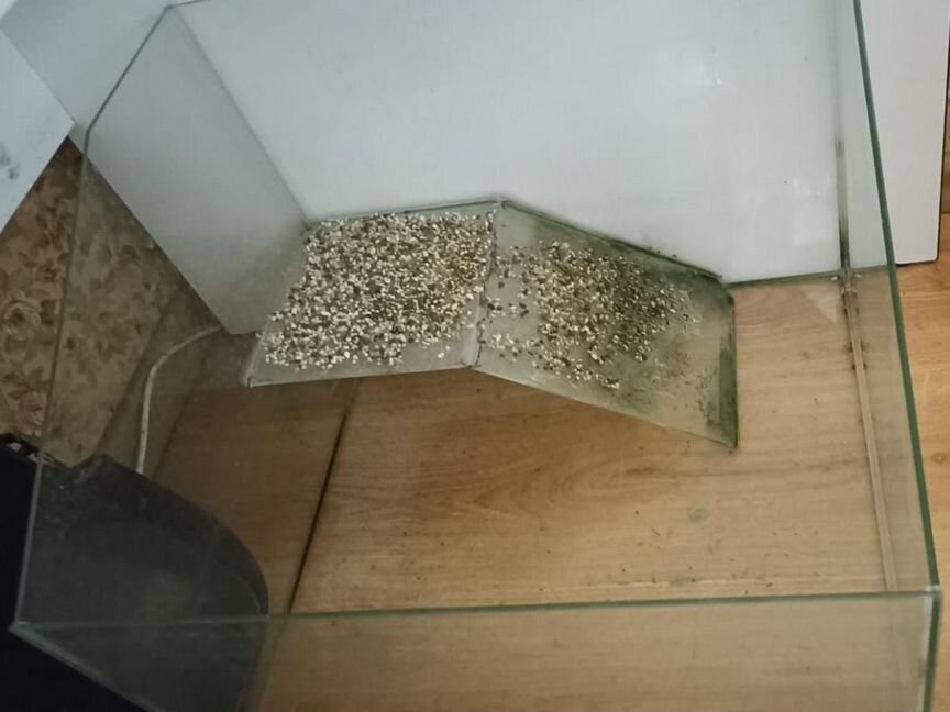 Террариум для красноухой черепахи