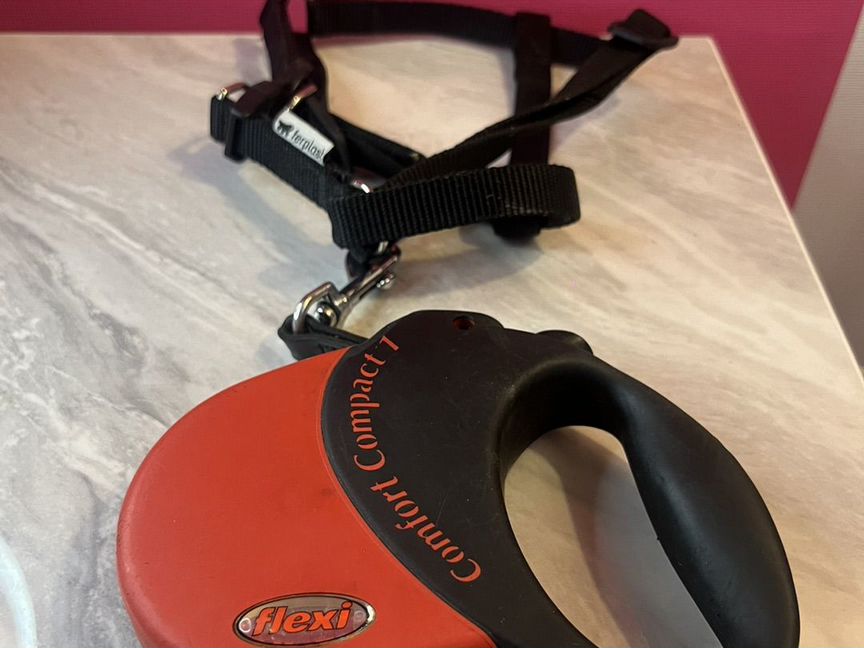 Flexi поводок-рулетка ремень, красный