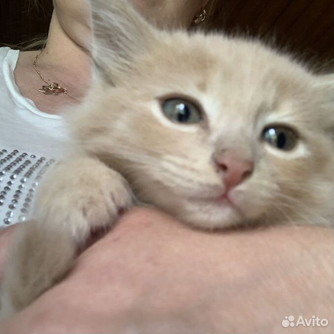 Солнечный зайчик на счастье и радость