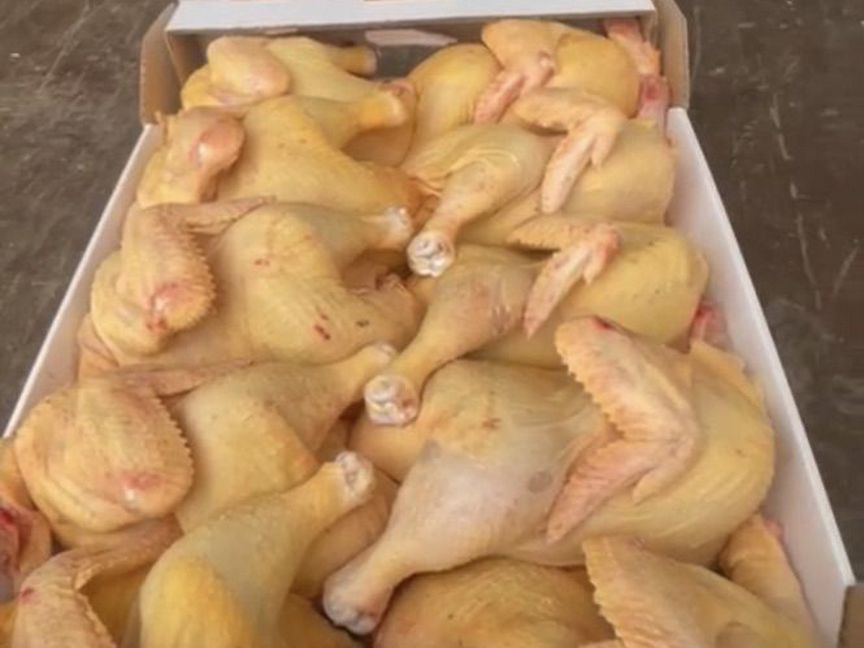 Куры бройлеры тушки мясо