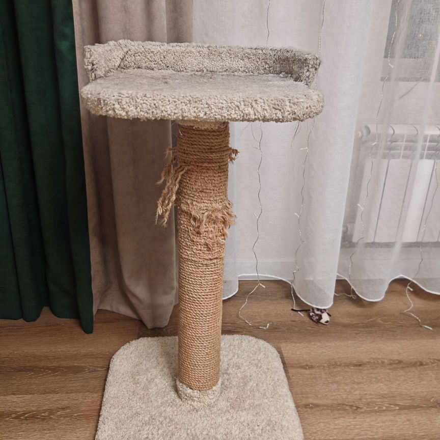 Когтеточка для кошек бу