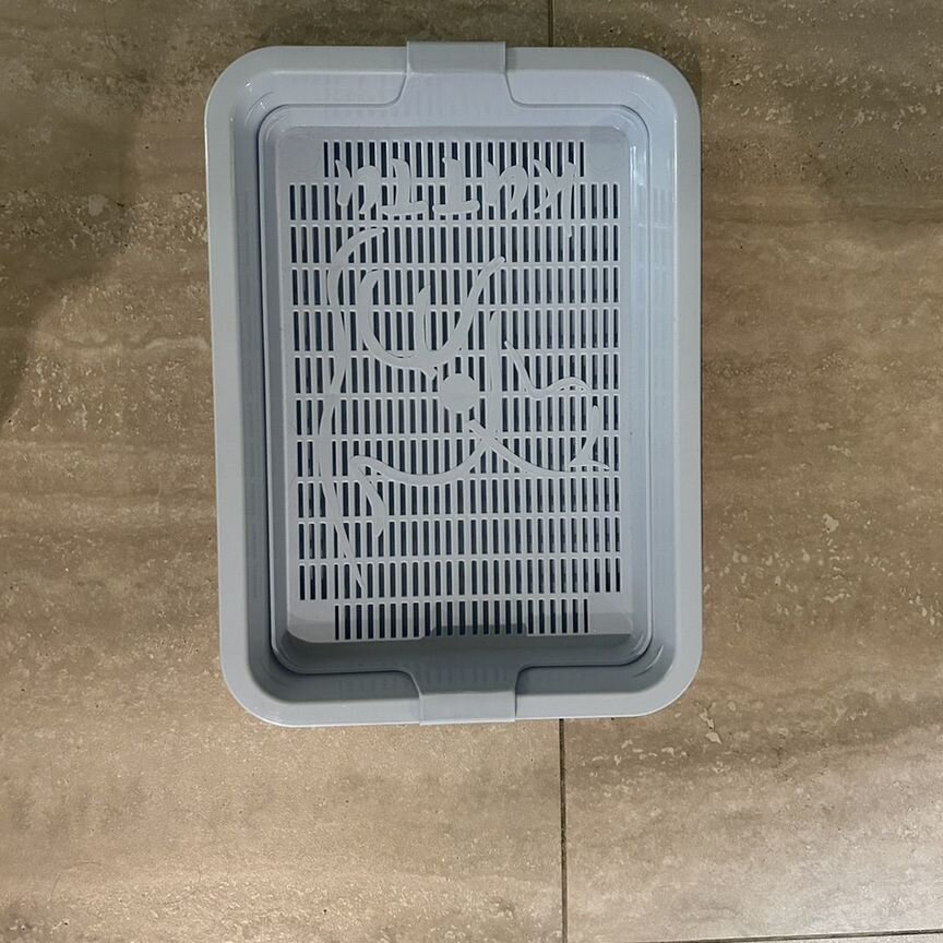 Лоток