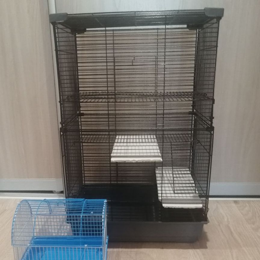 Клетка