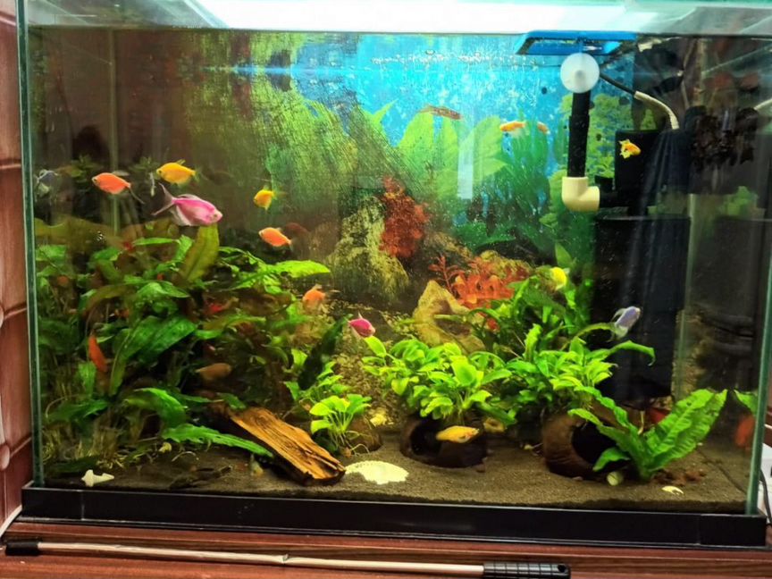 Аквариум