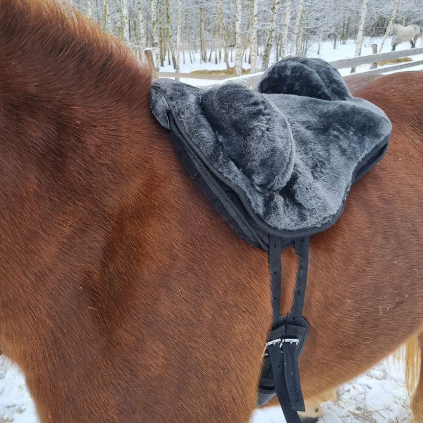 Пад для лошади