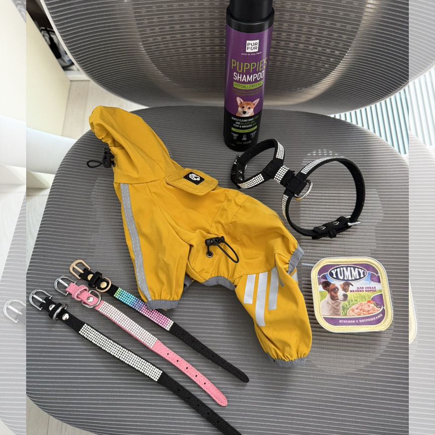 Разное для мини собачки