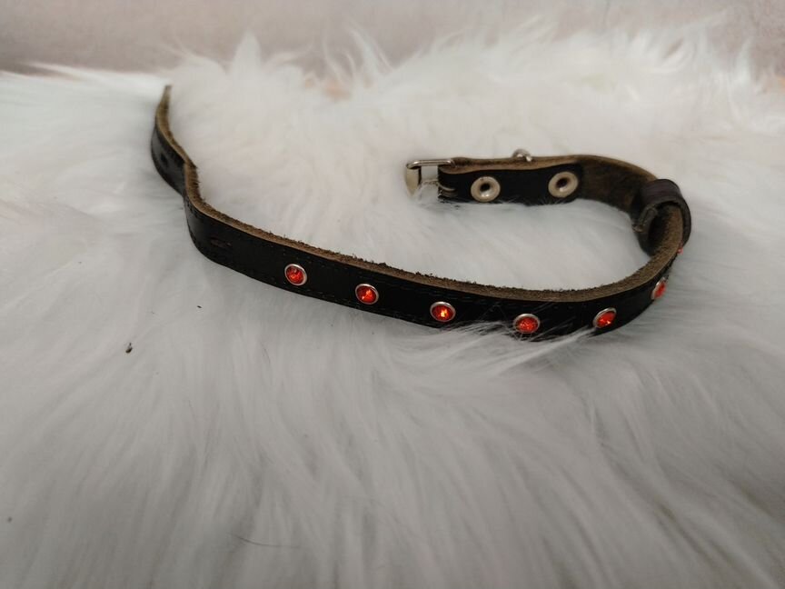 Кожаный ошейник для собак