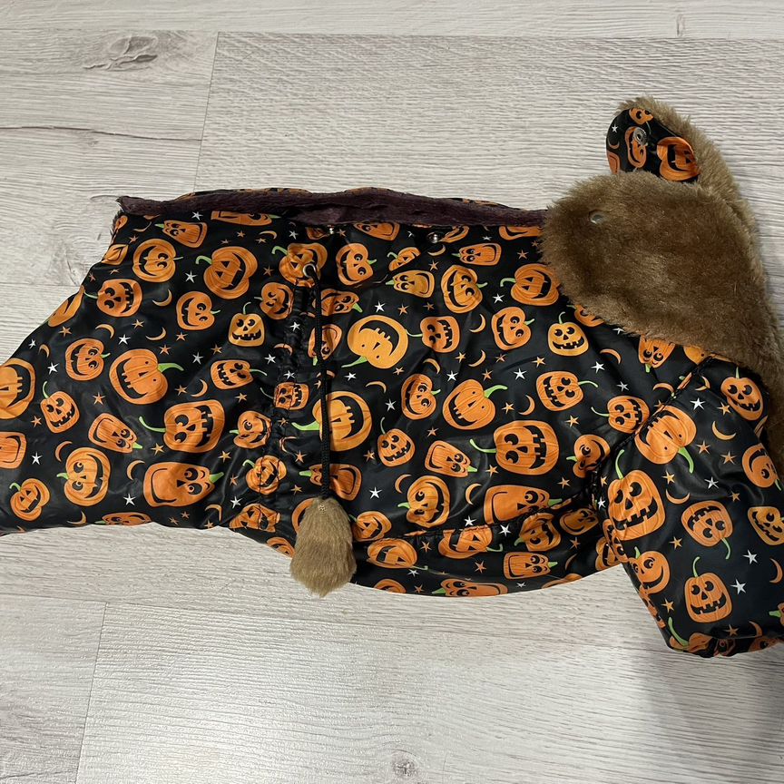 Костюм для собаки