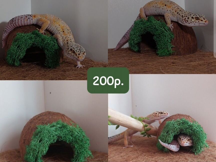 Украшение для террариума