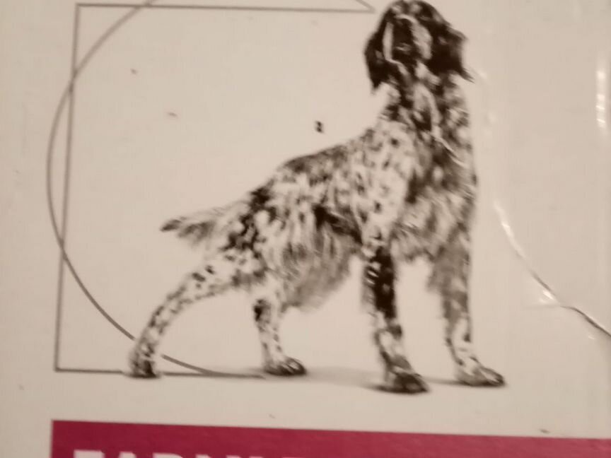 Royal canin early renal