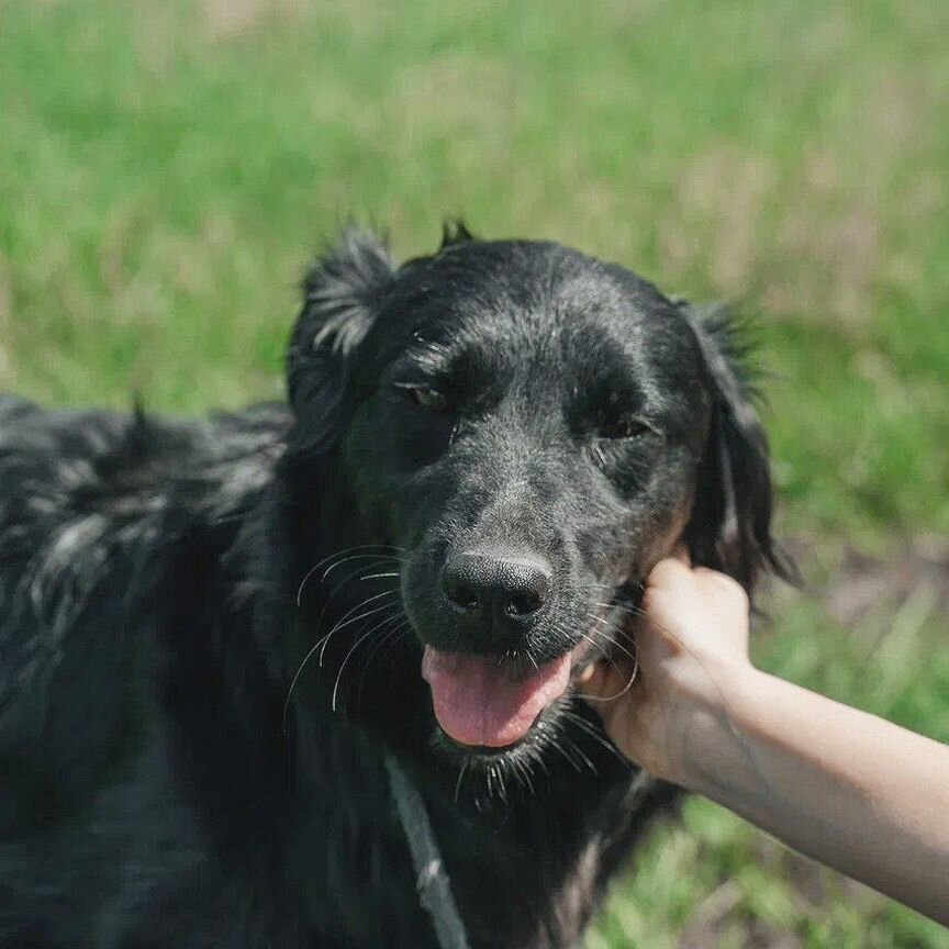 Наоми готова украсить вашу жизнь