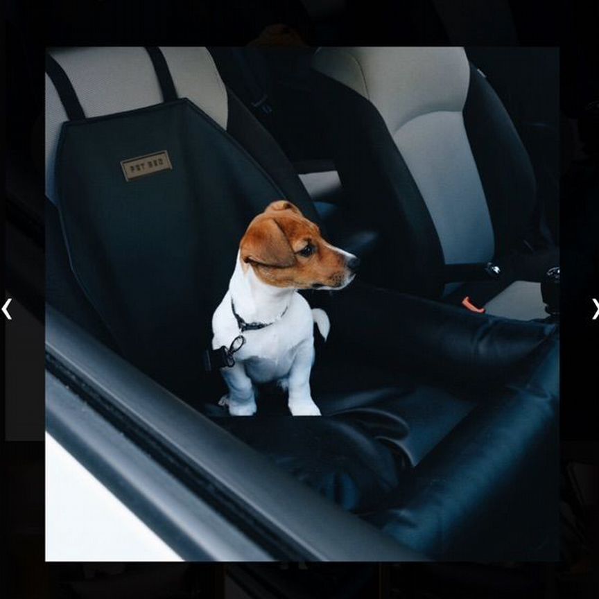 Автолежанка Pet i Bed