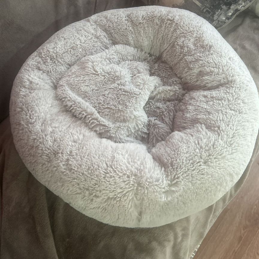 Лежанка для кошек