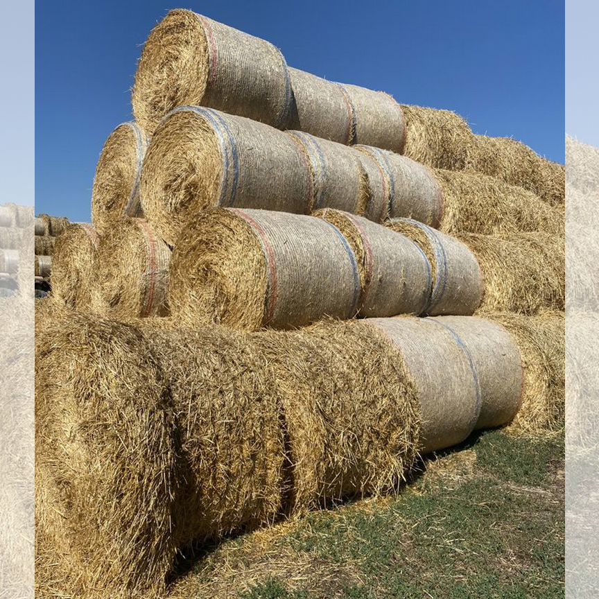 Ячменная солома яровая