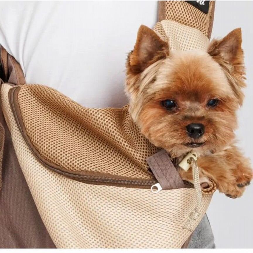 Слинг для кошек и собак мелких пород