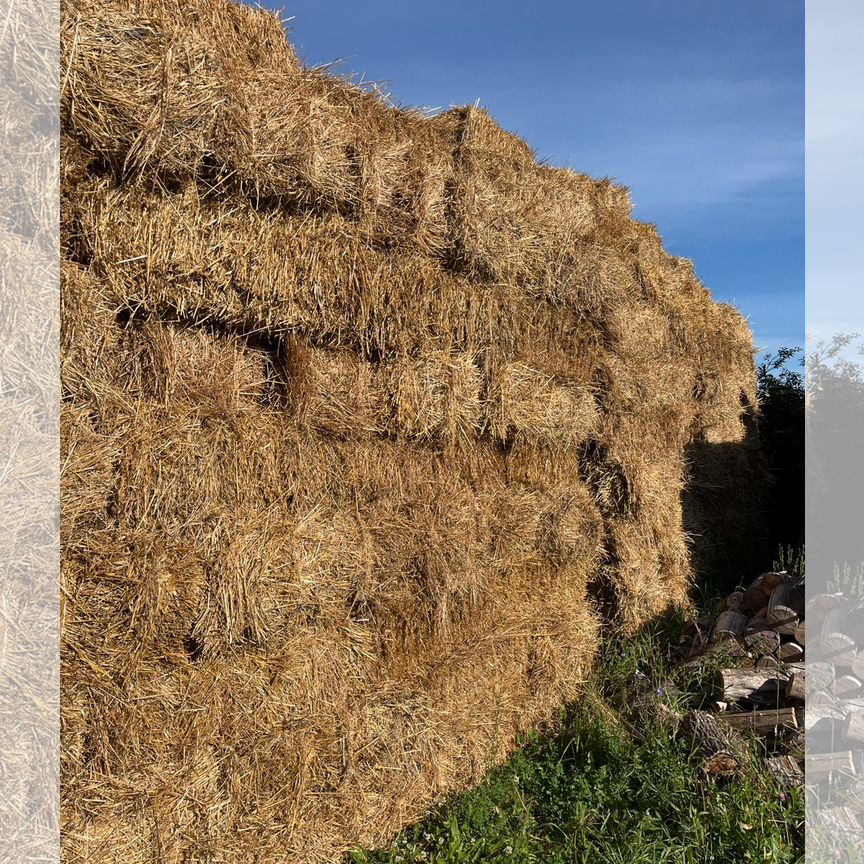 Солома в тюках овсяная