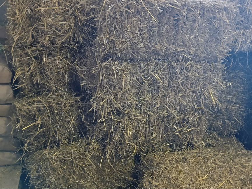 Солома в тюках