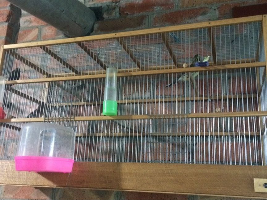 Клетка для птиц