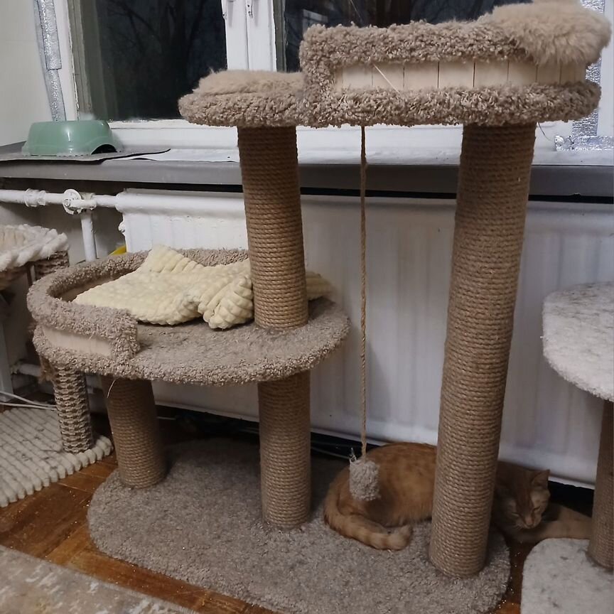 Когтеточка для кошек 2 штуки