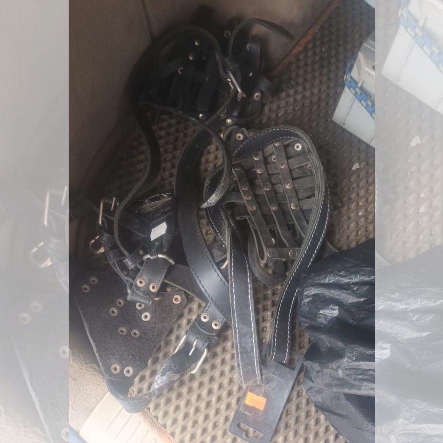 Шлейка, поводок, намордник для овчарки кожаные