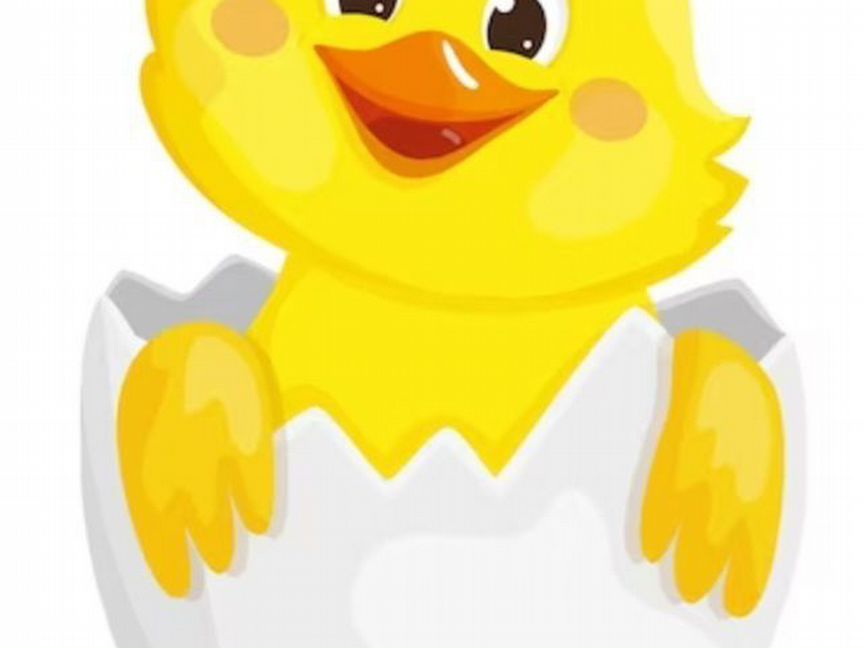 Птицы домашние куры