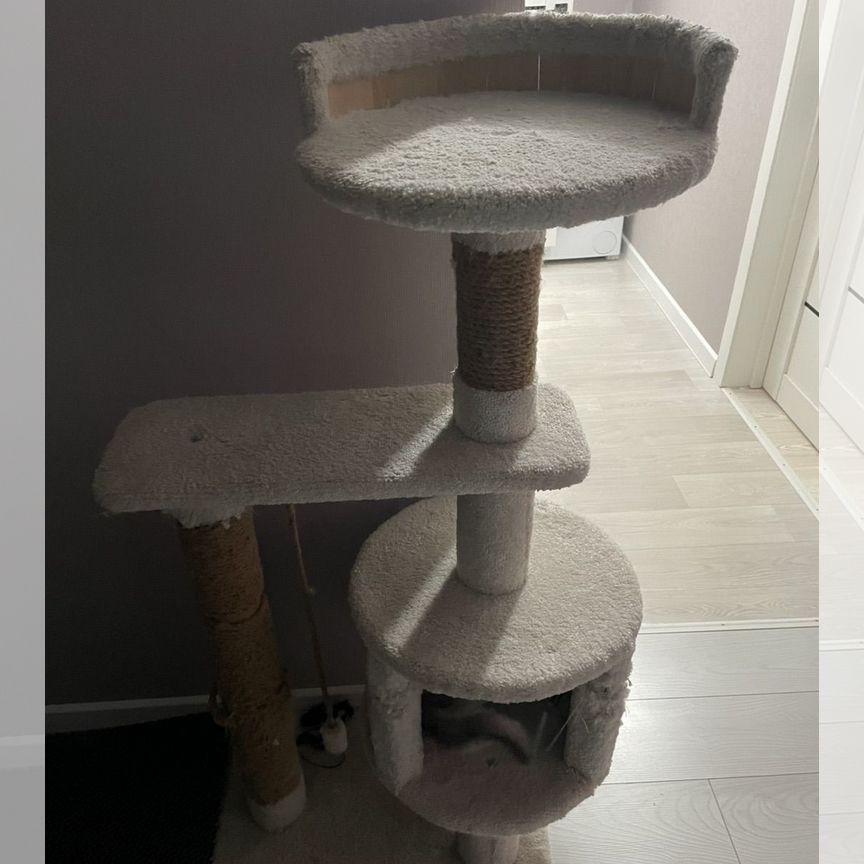 Когтеточка домик для кошки бу