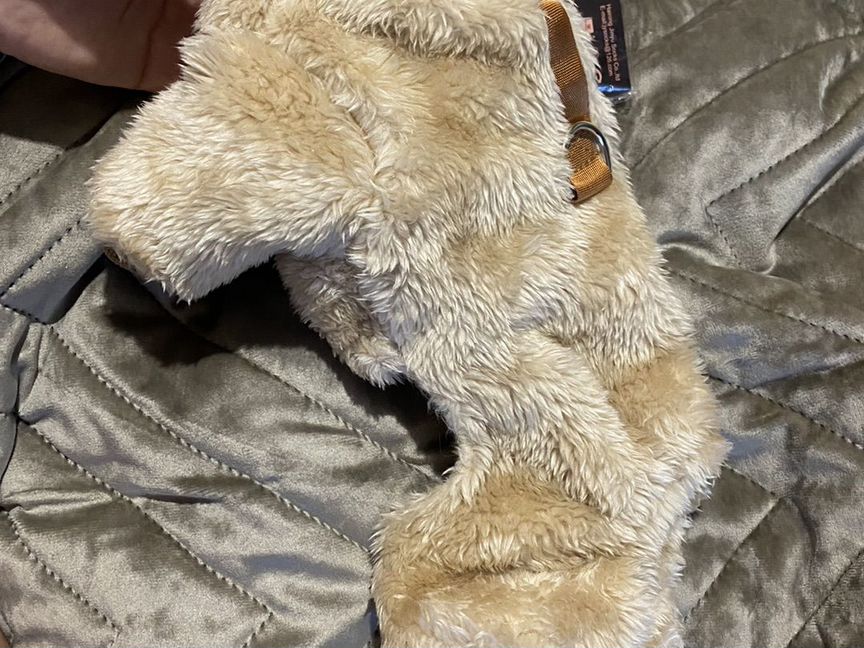 Одежда для собаки