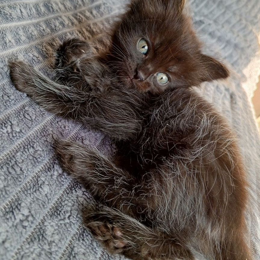 Плоды любви