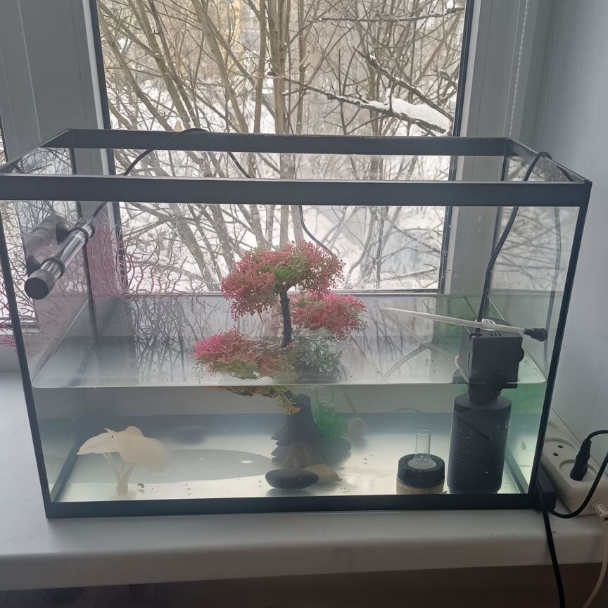 Аквариум с фильтром и лампой