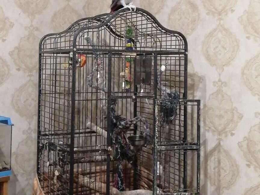 Большая клетка для птиц (Триол Клетка-вольер)