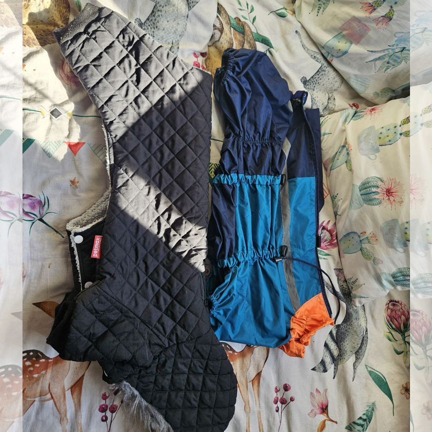 Одежда для собак средних пород