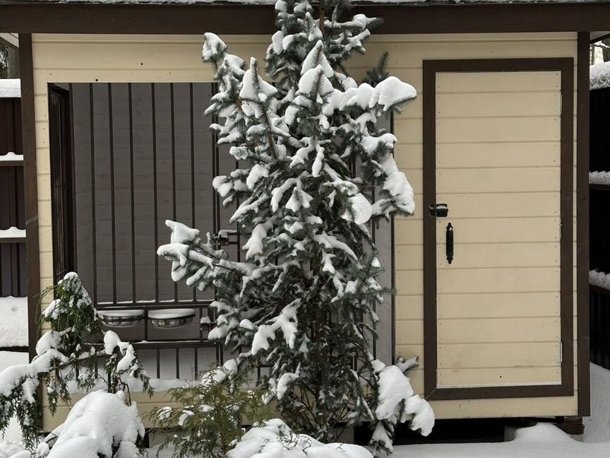Вольер для собак уличный, для овчарки