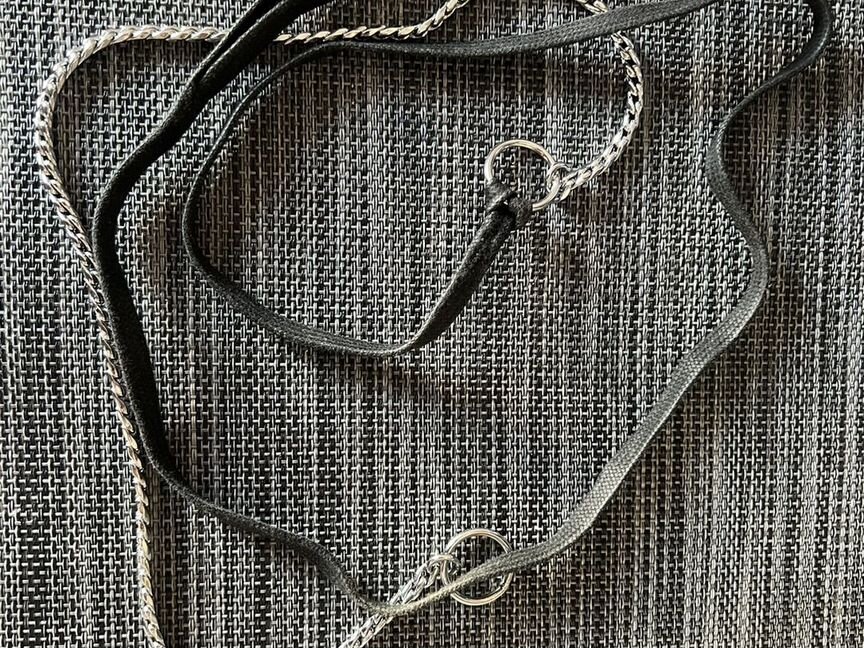 Ринговка для собак средних пород