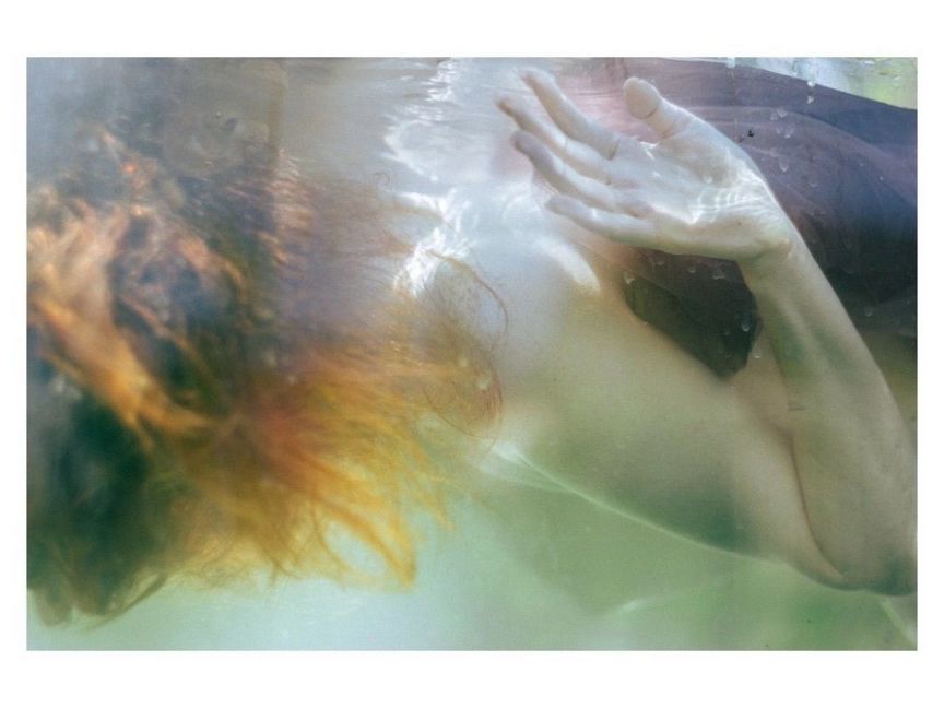 Аренда аквариума