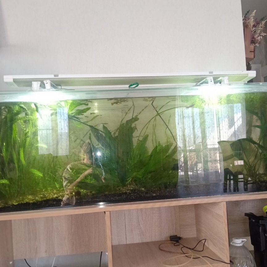 Аквариум с тумбой 300 литров с фильтром