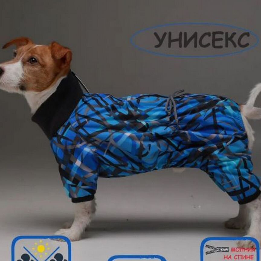 Одежда для собак средних пород