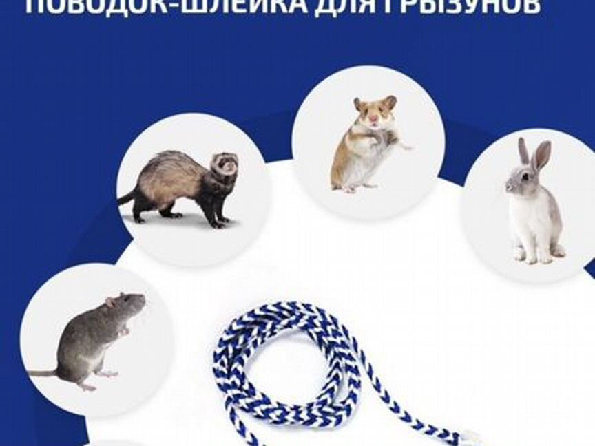 Шлейка поводок для хомяка крысы