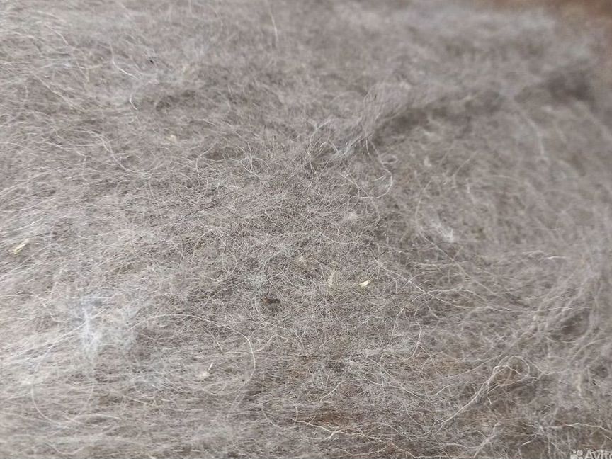 Шерсть овечья