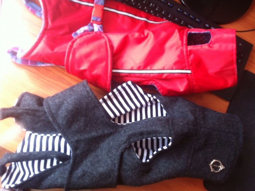 Одежда для собак (новая)