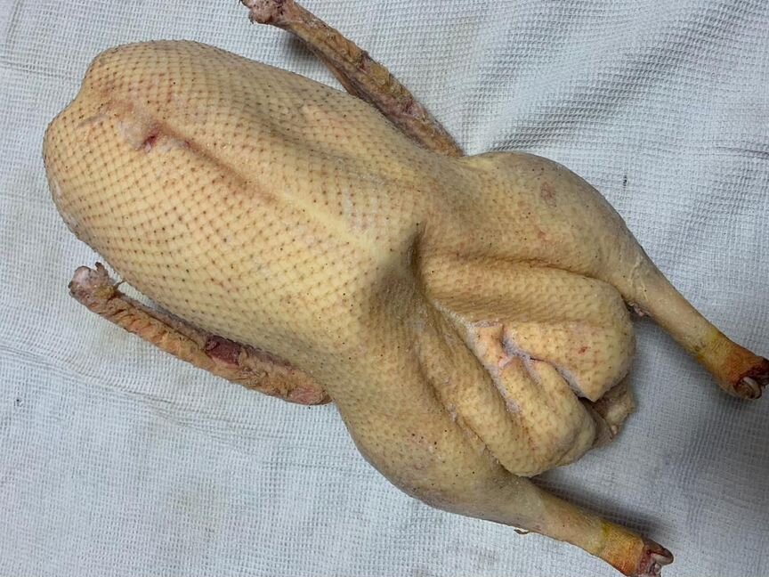 Гуси линда