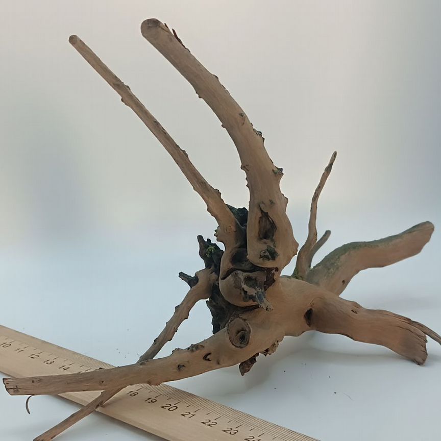 Коряги для аквариума