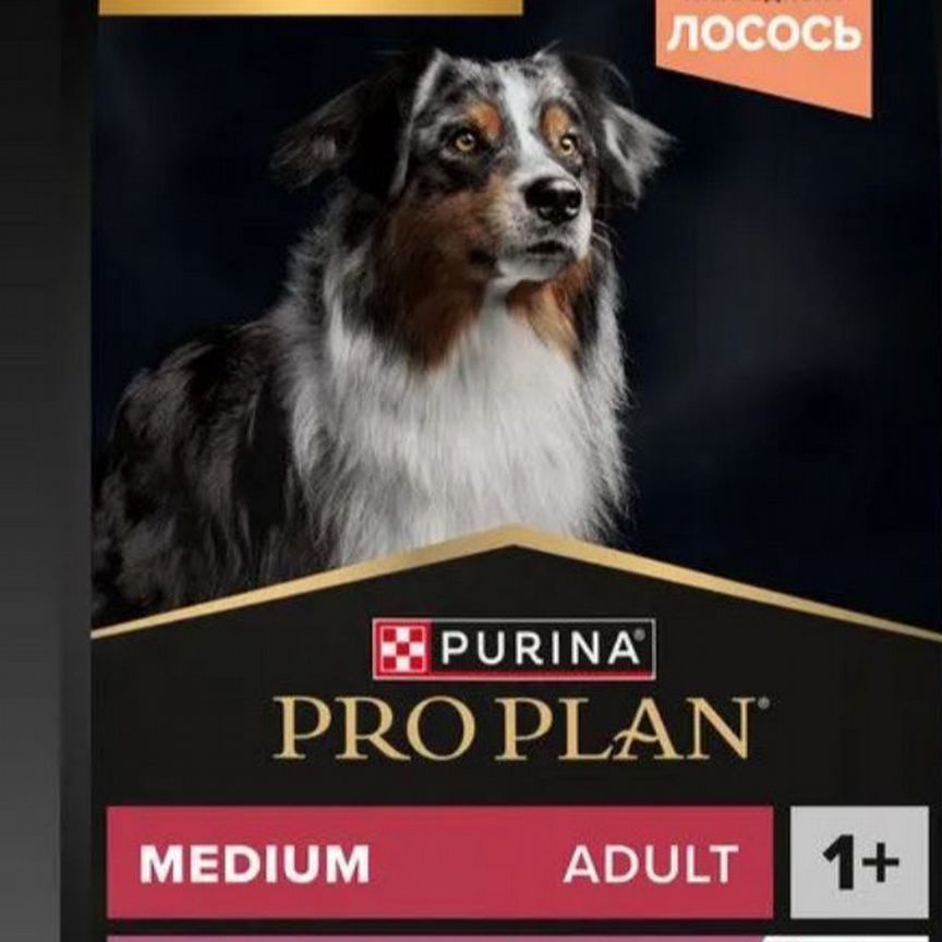 Pro plan для собак средних пород с лососем