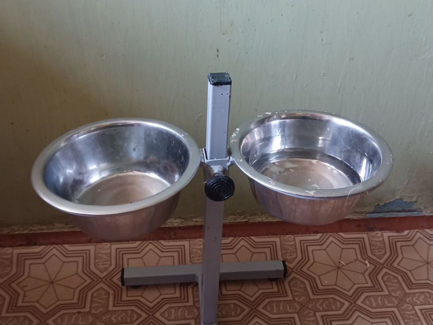 Миски для собак