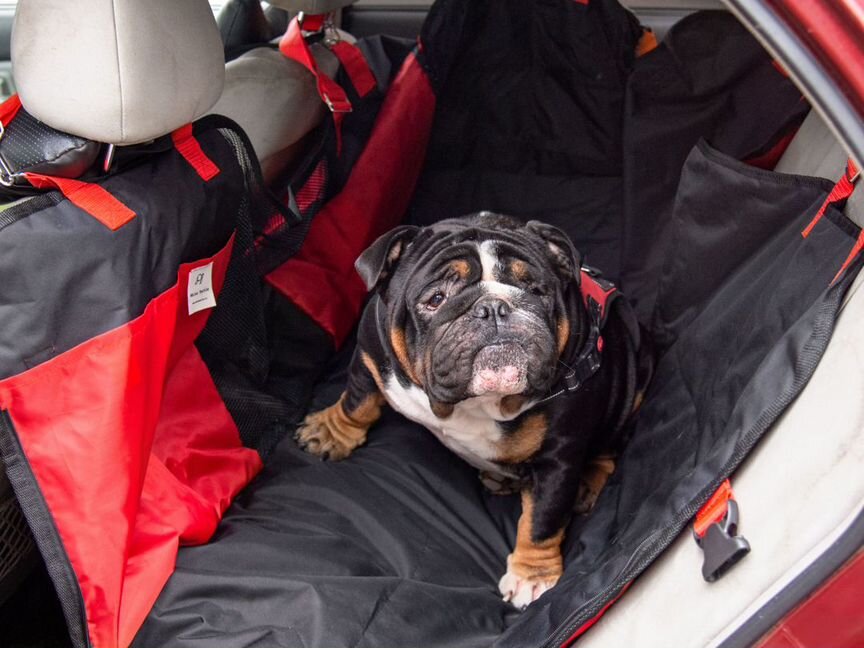 Автогамак для собак